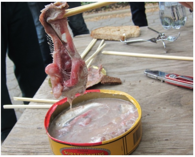 10-comidas-extranas-del-mundo-11 – delicias.tv blog