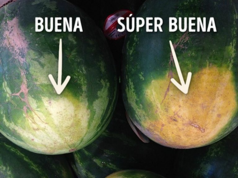 Aprende A Elegir Una Sandia Que Sea La Más Sabrosa De Todas | delicias ...