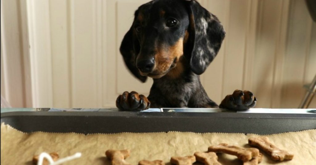 Estas Galletas Son Muy Sencillas De Hacer Y Serán Un Manjar Para Tu ...