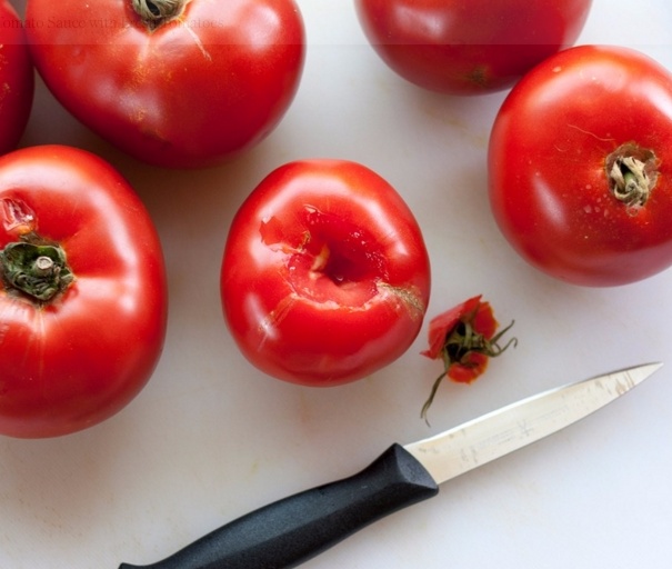 Te Enseñamos Como Preparar Una Deliciosa Salsa De Tomate Casera ...