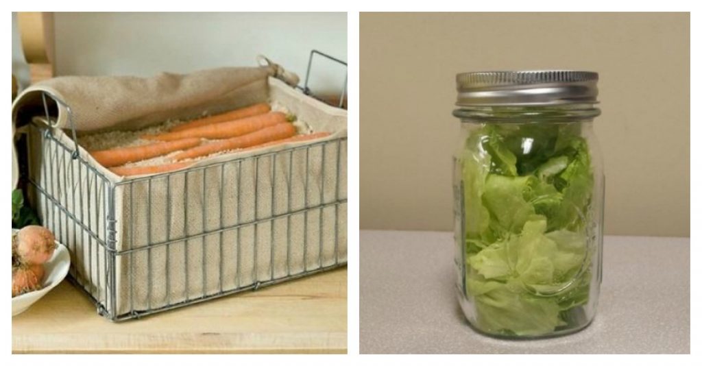 10 Ideas Para Mantener Tus Alimentos Frescos Por Más Tiempo | delicias ...