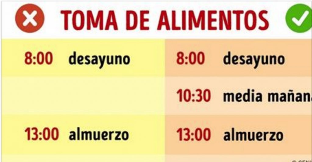 Nutricionista Indica La Frecuencia Con La Que Debemos Ingerir Alimentos ...