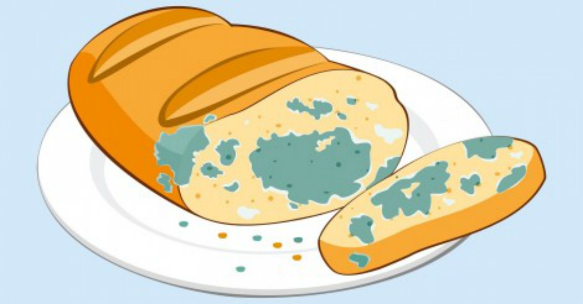 Estos Son Los Alimentos Con Moho Que Puedes Comer Y Los Que Debes ...