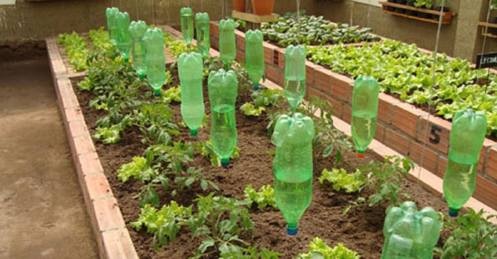 Como Hacer Un Sistema De Riego Por Goteo Con Botellas - vrogue.co Como Hacer Un Sistema De Riego Por Goteo Con Botellas - vrogue.co