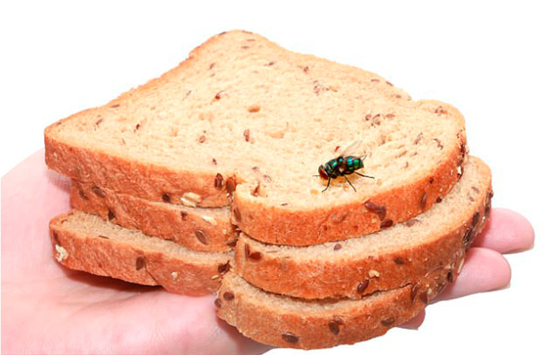 Mira La Gran Razón Por La Que Debes Botar Inmediatamente Tu Comida Si ...